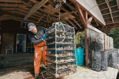 Farm Design | Alaska Mariculture Insights