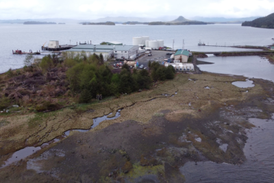 The Farmers | Alaska Mariculture Insights